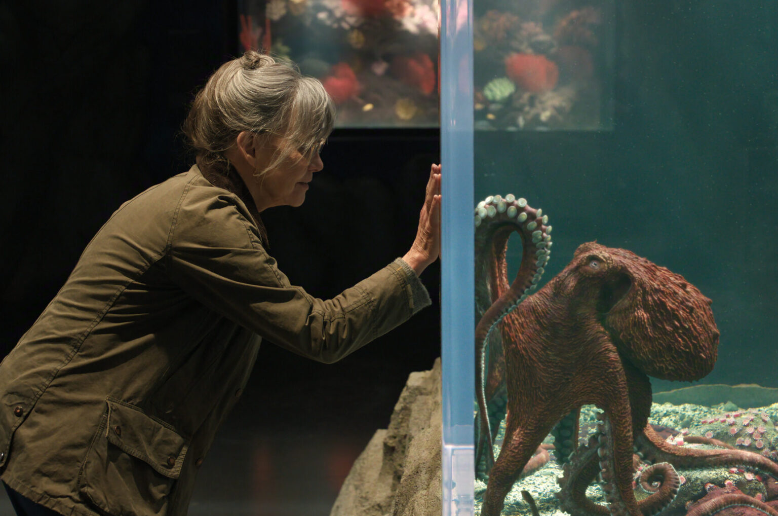 Remarkably Bright Creatures Trailer Explores Emotional Connection ...